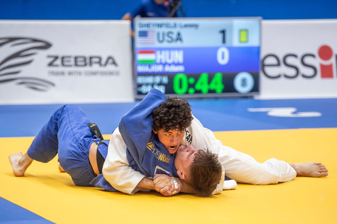 American Judo System